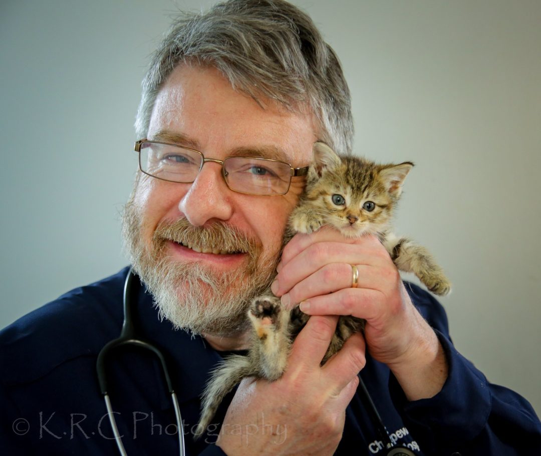 Meet Our Veterinary Staff - Chippewa Animal Hospital - St. Louis, MO